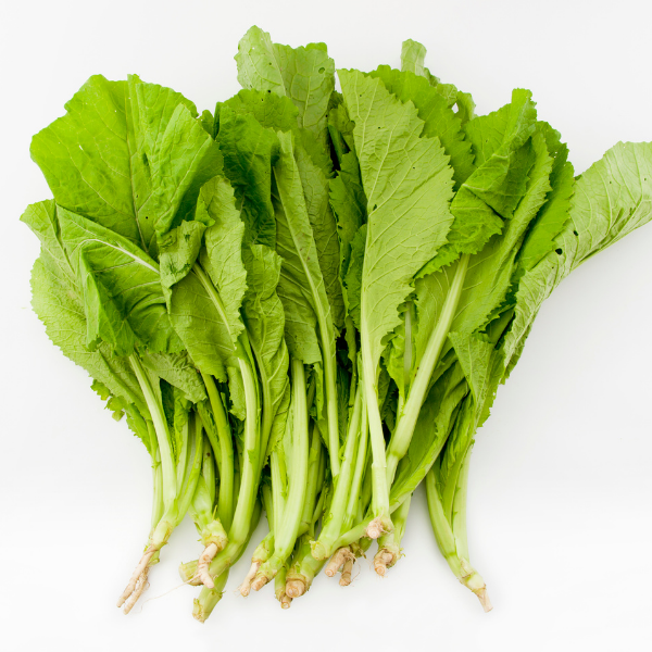 Korean Mustard Greens - Dolsangot Seeds | 돌산갓 씨앗 | Wonder Seeds