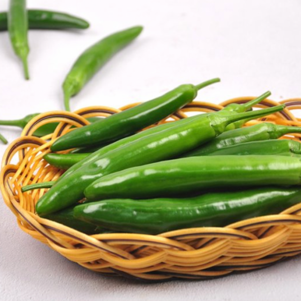 Korean Chilli - Crunch Green F1 Seeds | 초록아삭이고추 씨앗 | Wonder Seeds
